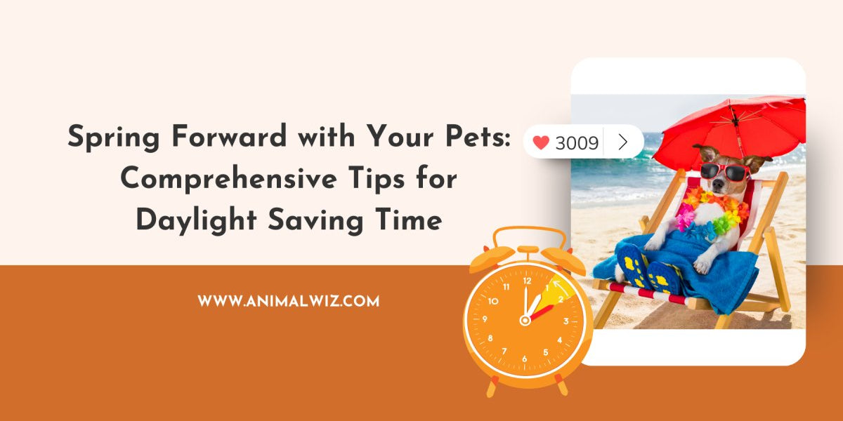Spring Forward with Your Pets: Comprehensive Tips for Daylight Saving ...