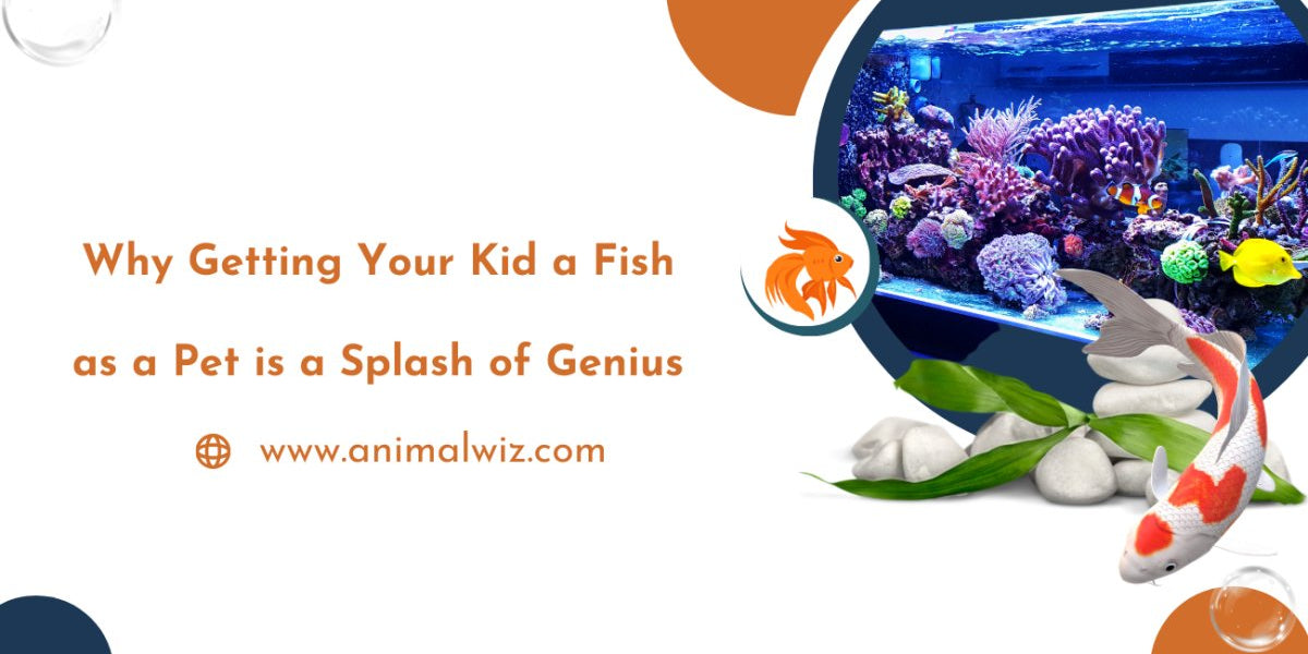 Why Getting Your Kid a Fish as a Pet is a Splash of Genius — AnimalWiz.com