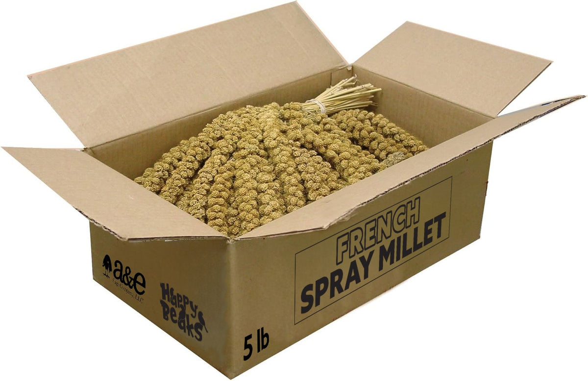 A&E French Millet Sprays - 5 LB Box — AnimalWiz.com