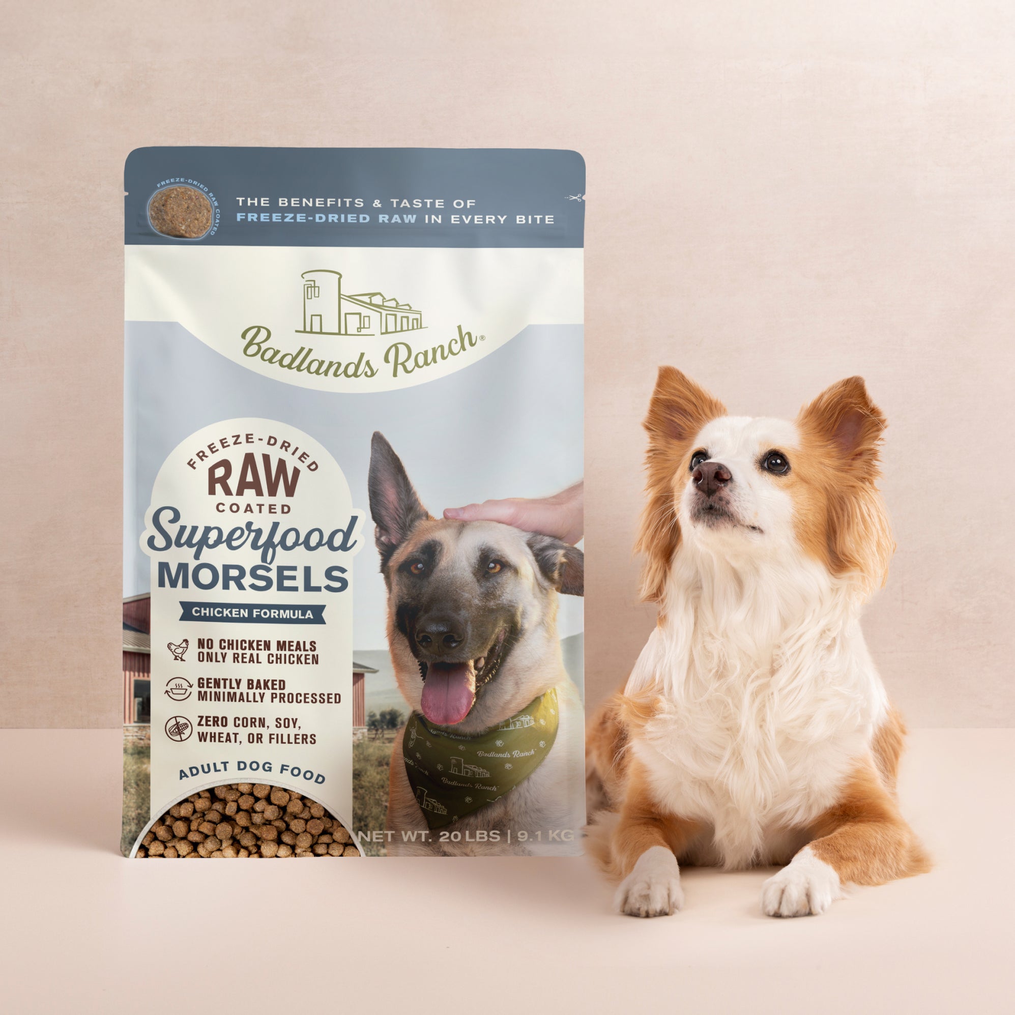 Badlands Ranch SFC Raw Coated Morsels CK 20lb — AnimalWiz.com