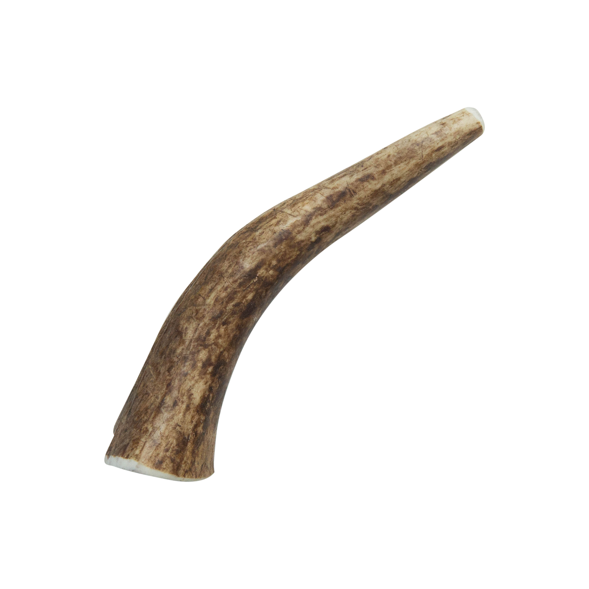 Health Extension Natural Elk Antlers - Whole — AnimalWiz.com
