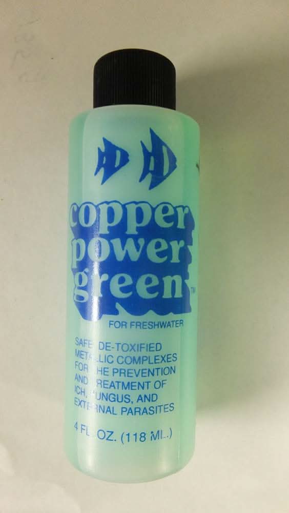 Copper Power Green Freshwater Medication 4 fl. oz — AnimalWiz.com