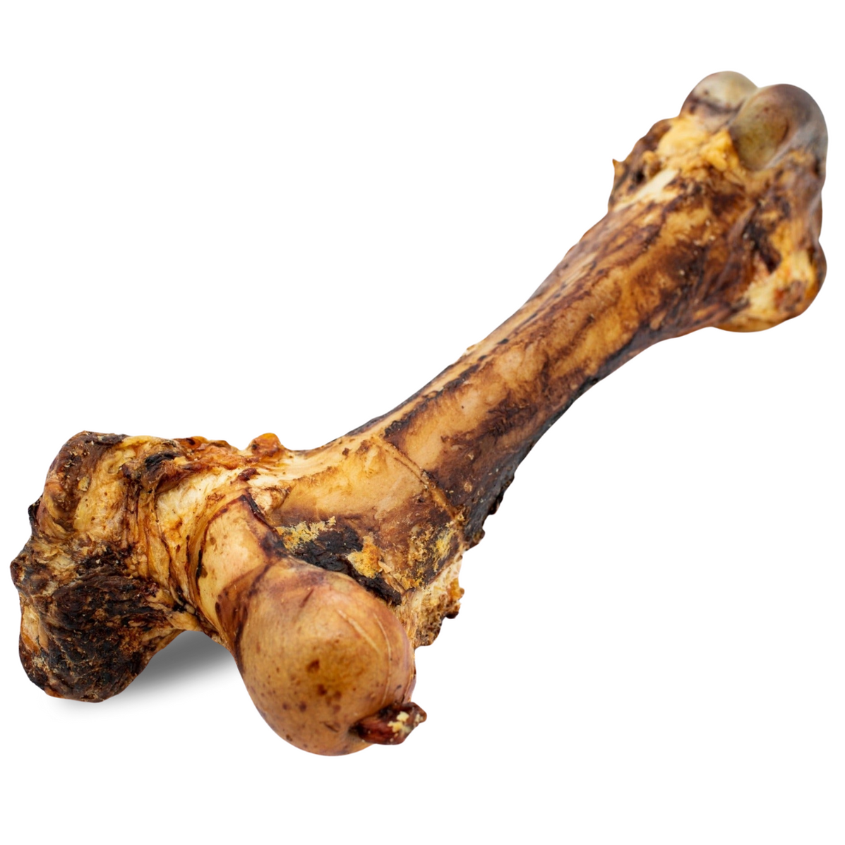 Bully Bunches Monster Femur Bone — AnimalWiz.com