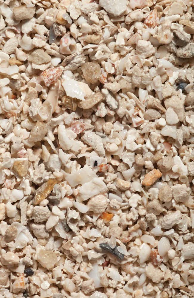 CaribSea Geo-Marine Florida Crushed Coral Substrate 10 lb — AnimalWiz.com