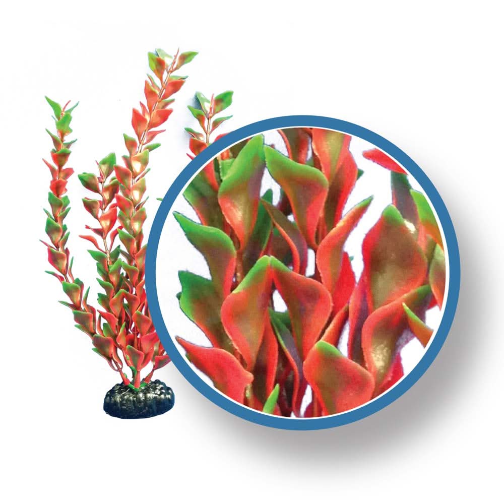 Weco Products Freshwater Pro Series Ludwigia Aquarium Plant Red 12 in ...