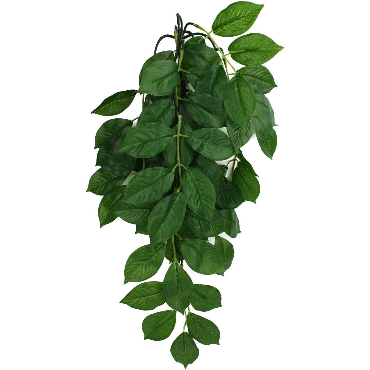 Komodo Green Leaf Hanging Plant SM 16in — AnimalWiz.com