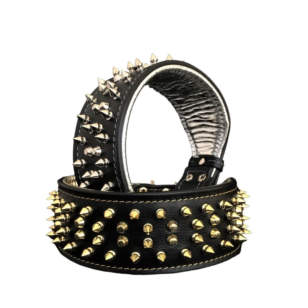 Bestia The Crown Collar for Dogs — AnimalWiz.com