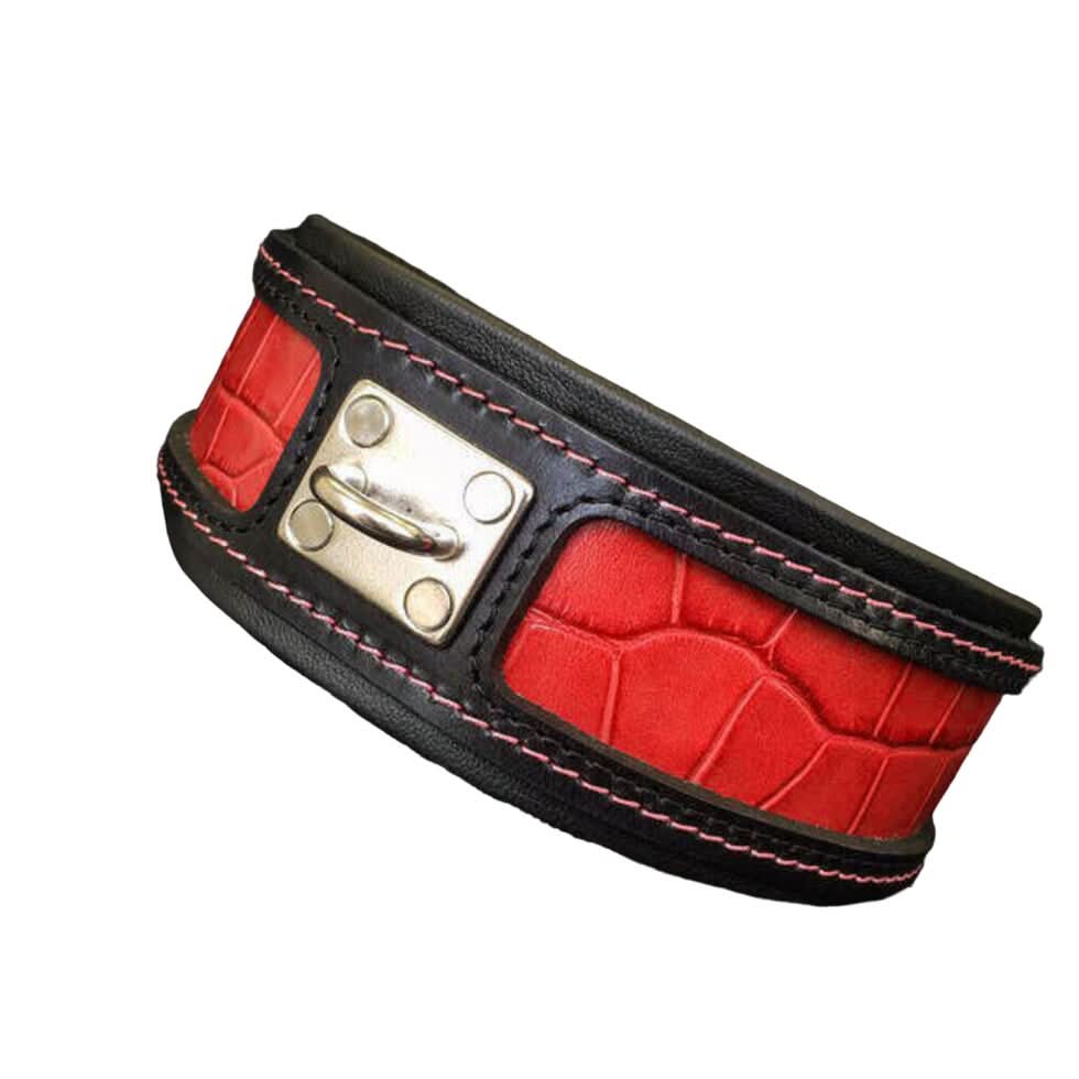 Bestia The Reptile Collar for Dogs — AnimalWiz.com