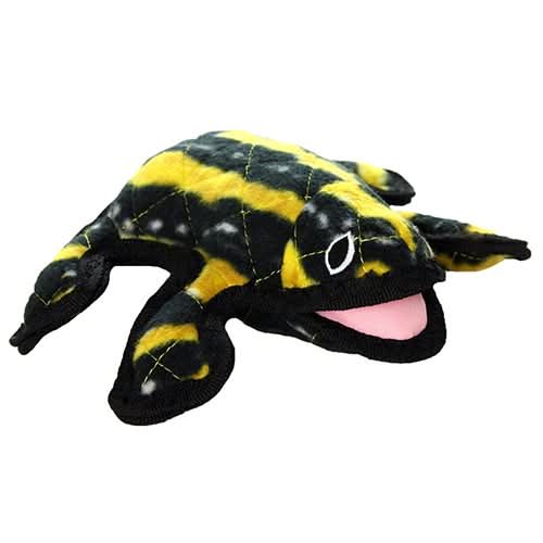 Tuffy Desert Phrog — AnimalWiz.com